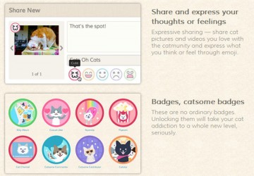Catmoji, arriva il social network dedicato ai gatti – Geekissimo